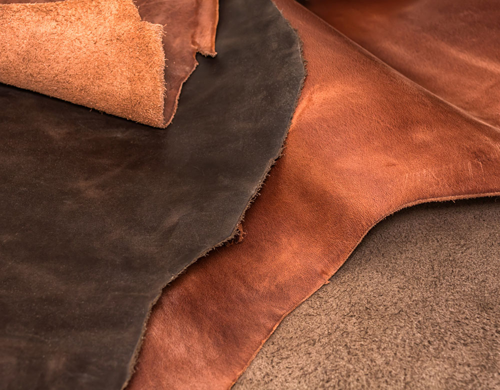 In Conversation with Suzie Fletcher | Leather Naturally
