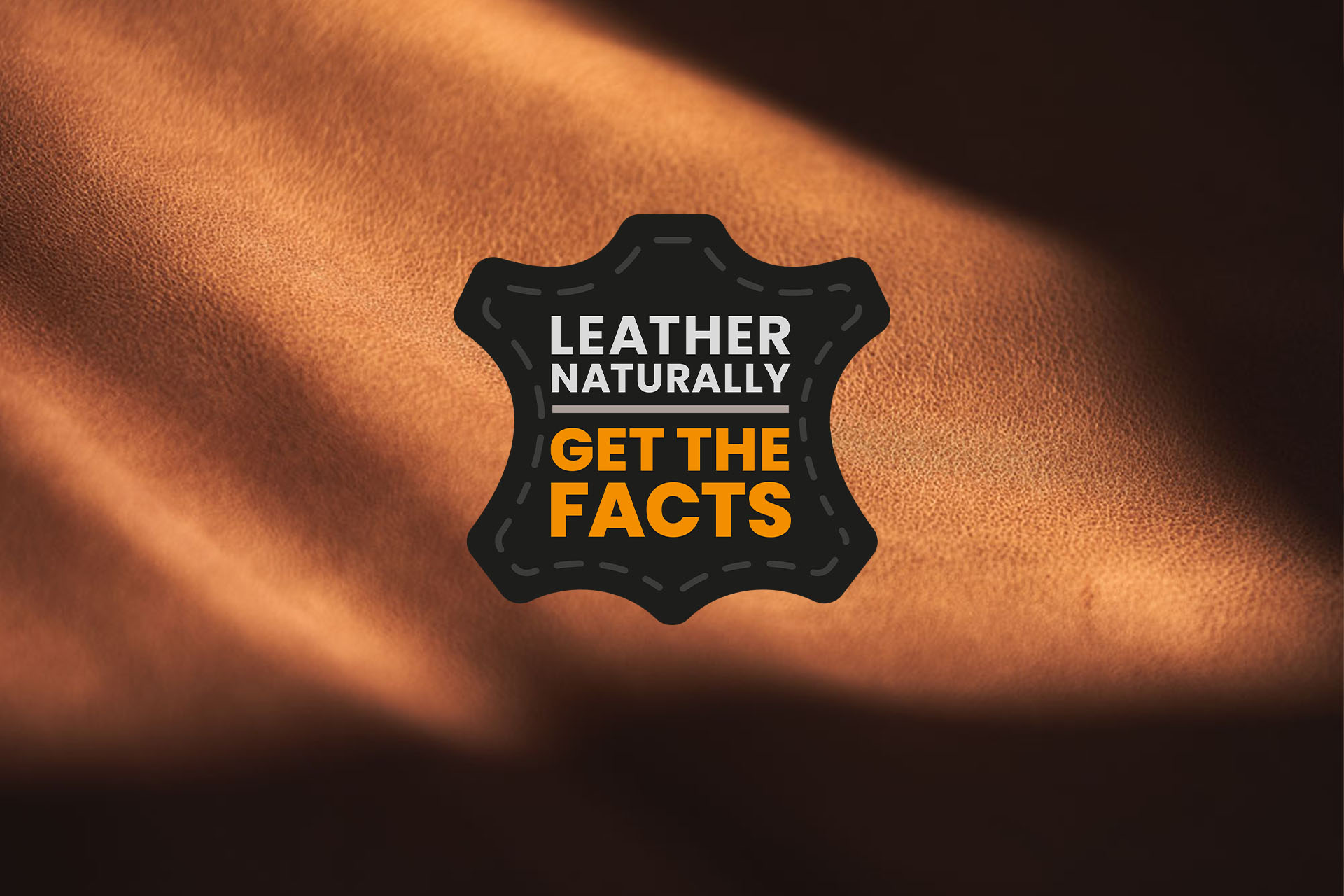 "Get the Facts"-Icon | Resources |Leather Naturally